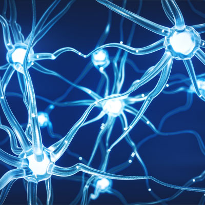 Bradenton Chiropractor - SunCoast SpineCare - Chiropractic Neurology